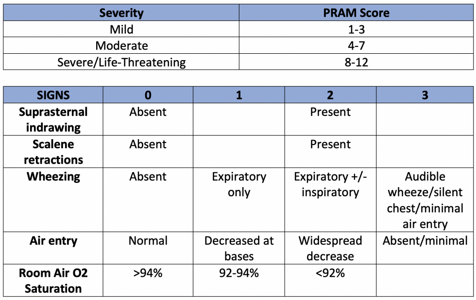 Episode 3 – Paediatric Respiratory Illnesses – Dr. Allan Shefrin ...